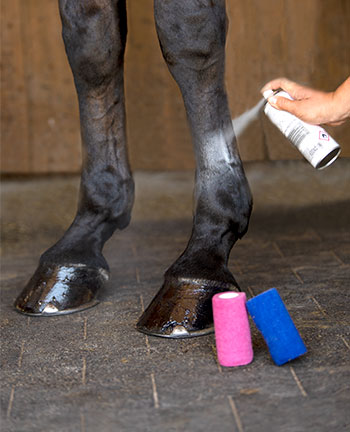 Large choix de produits de soins pour chevaux | kramer.fr