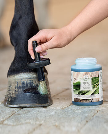 Large choix de produits de soins pour chevaux | kramer.fr