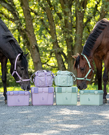 Acheter de produits de soins pour chevaux en ligne | kramer.fr