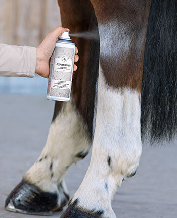 Large choix de produits de soins pour chevaux | kramer.fr