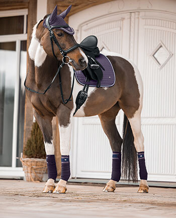 Acheter en ligne des accessoires pour chevaux | kramer.fr