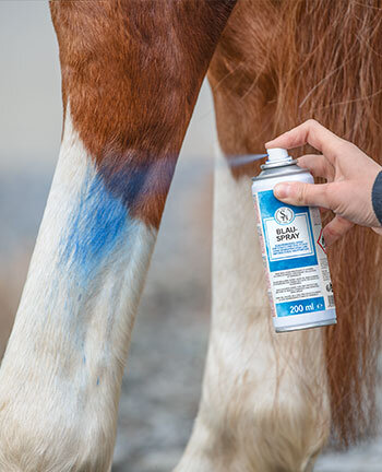 Large choix de produits de soins pour chevaux | kramer.fr