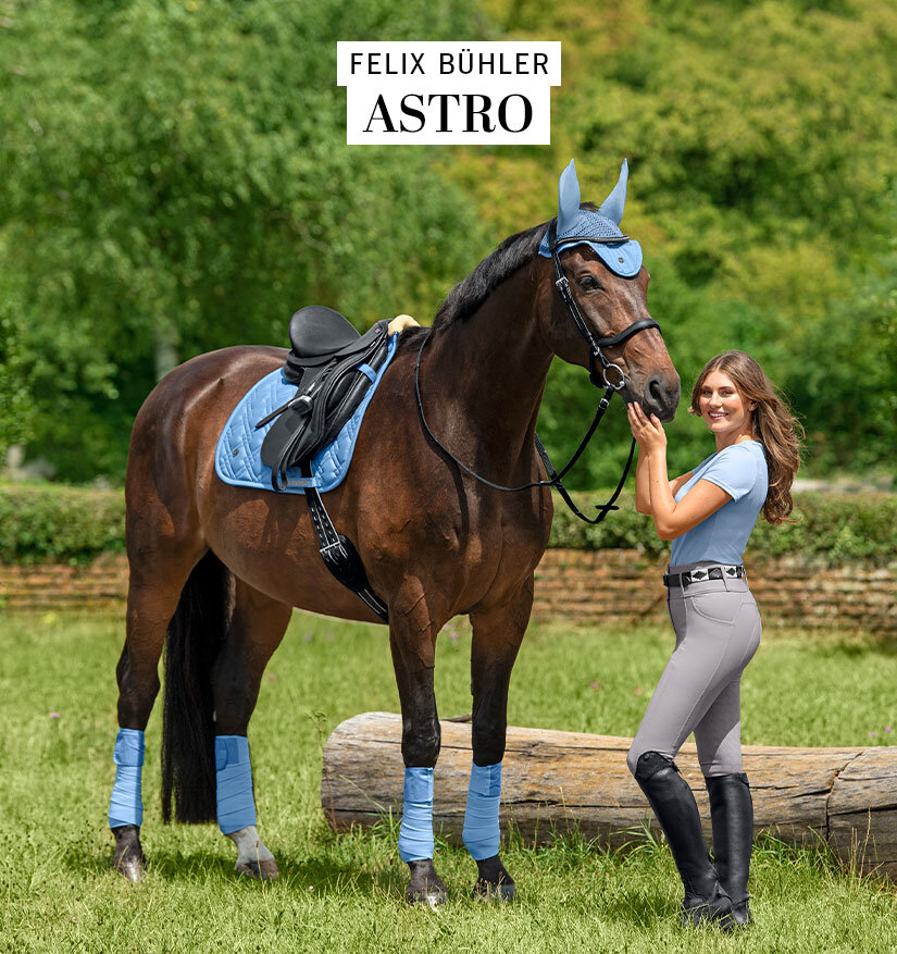Kramer Equitation | Sellerie en ligne et matériel d'équitation