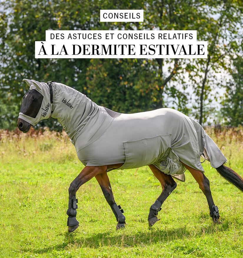 Kramer Equitation | Sellerie en ligne et matériel d'équitation