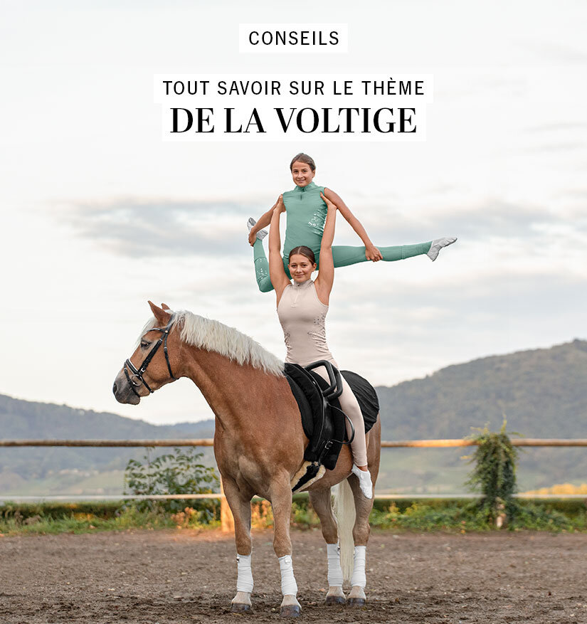 Kramer Equitation | Sellerie en ligne et matériel d'équitation