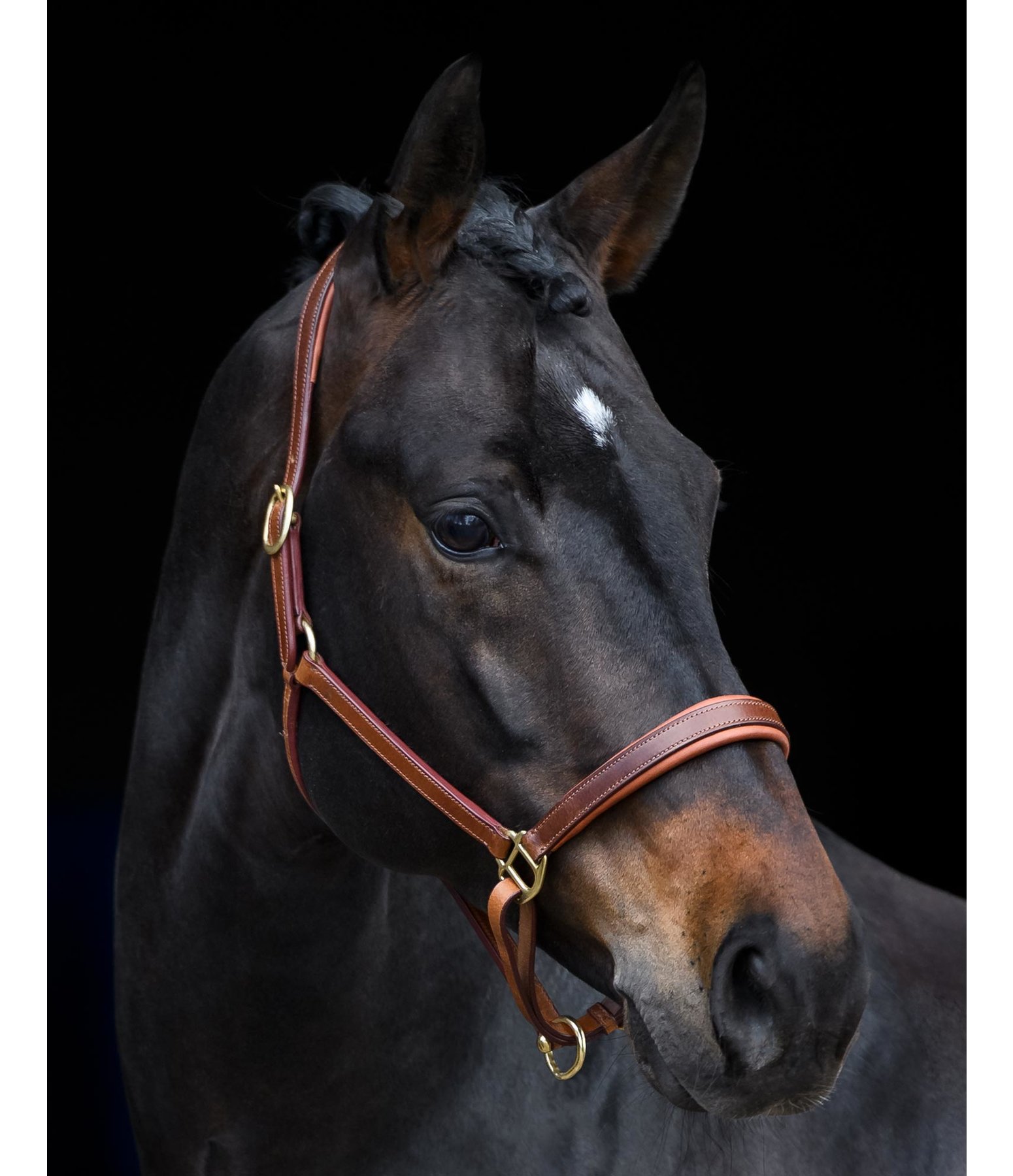 Licol en cuir Mia - Licols en cuir - Kramer Equitation