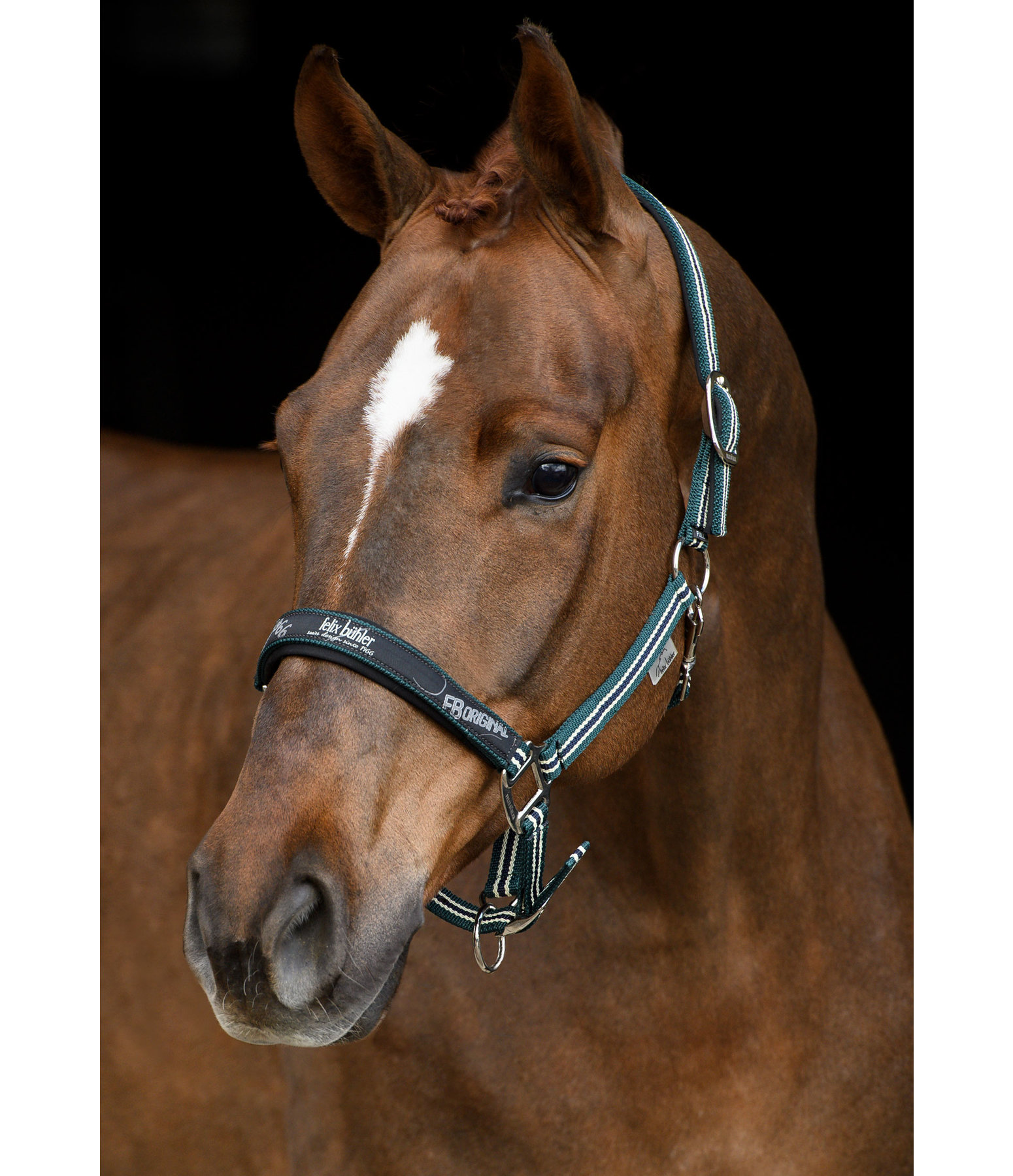 Licol Origin - Licols pour poneys & poulains - Kramer Equitation