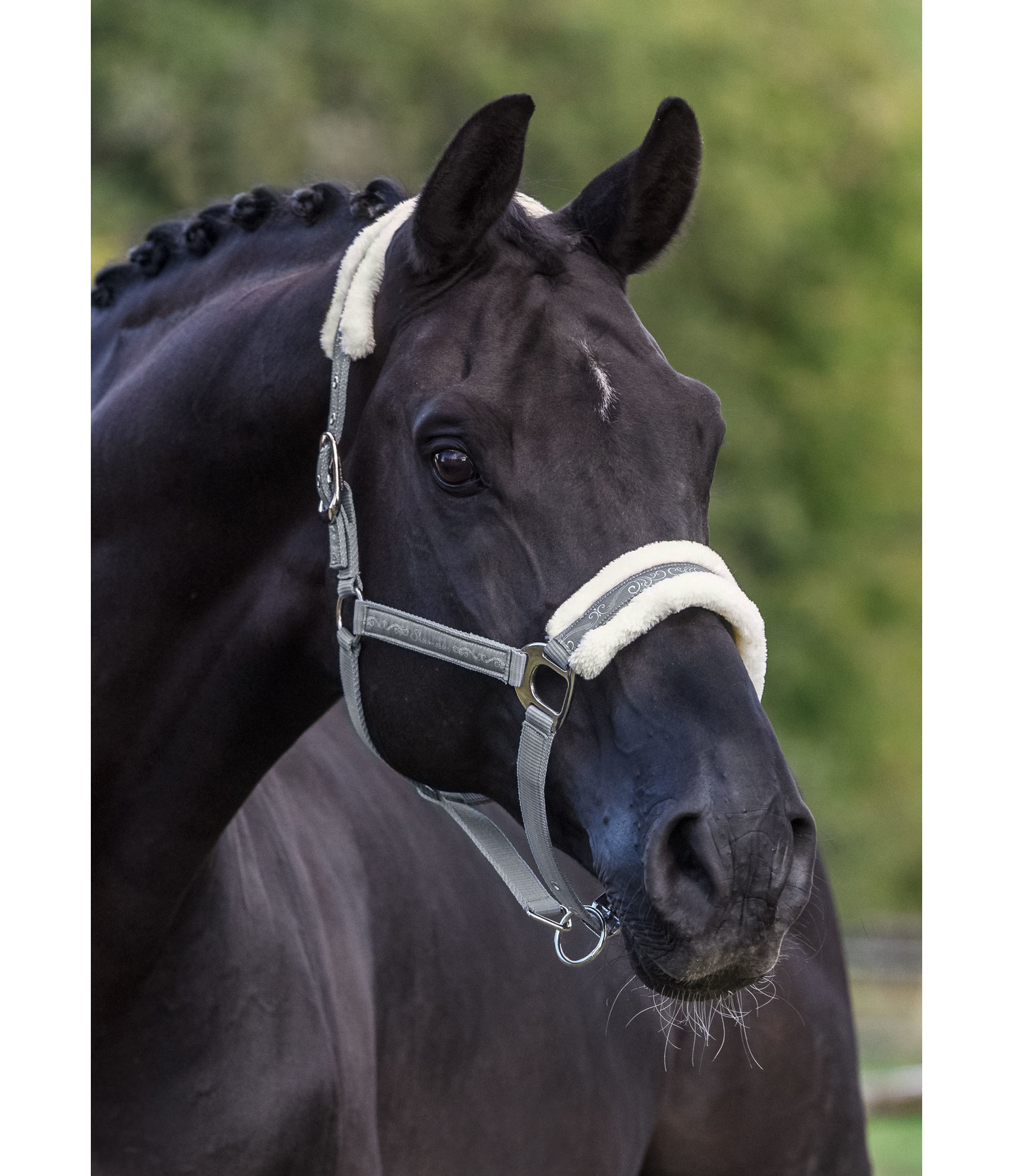 Licol Metallic Love - Licols & longes - Kramer Equitation