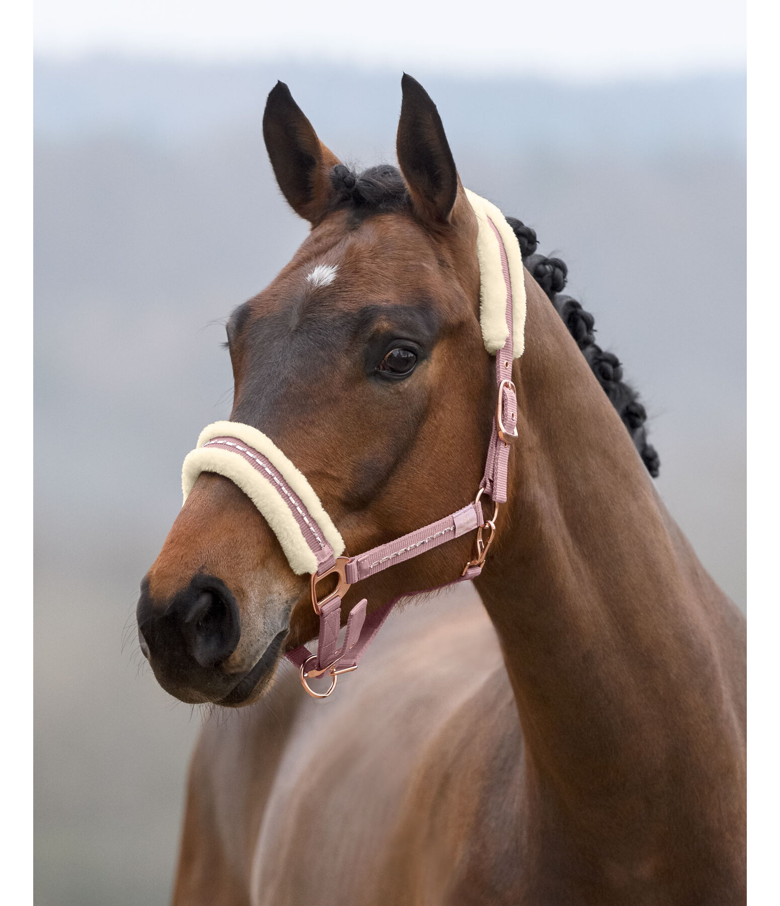 Licol Finery - Licols pour poneys & poulains - Kramer Equitation