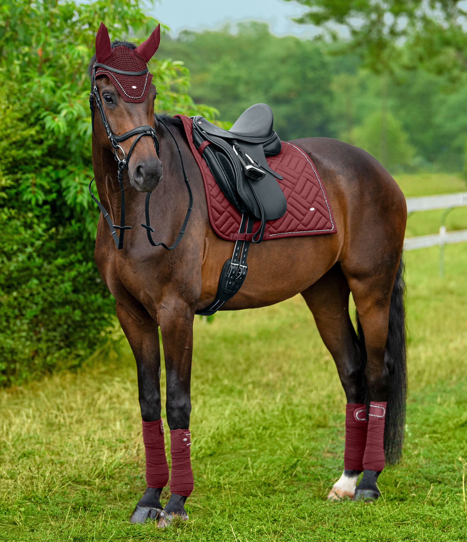 Tenue Brilliant en bordeaux - Tenues pour chevaux - Kramer Equitation