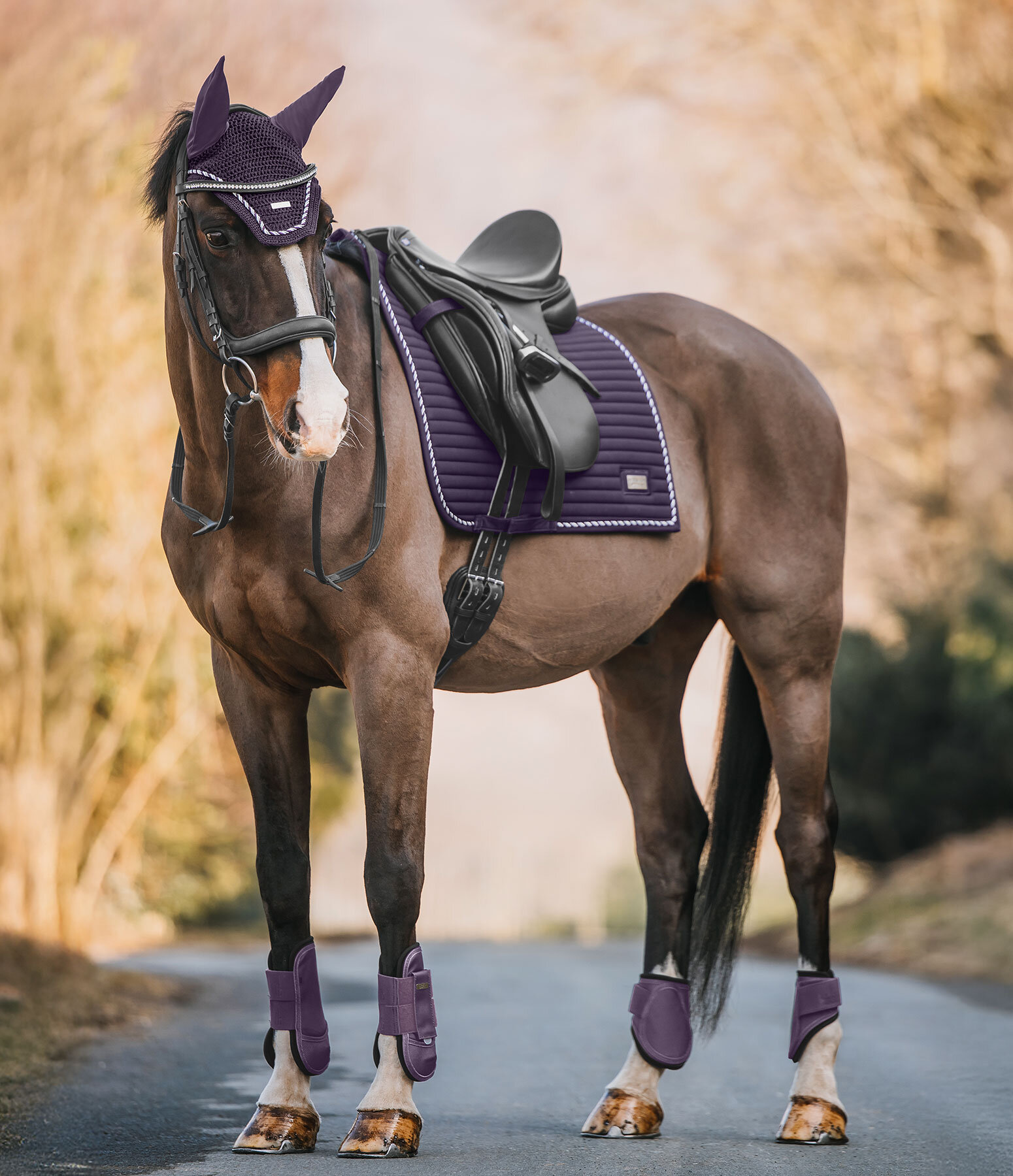 Tenue Sophistication en violet foncé - Kramer Equitation